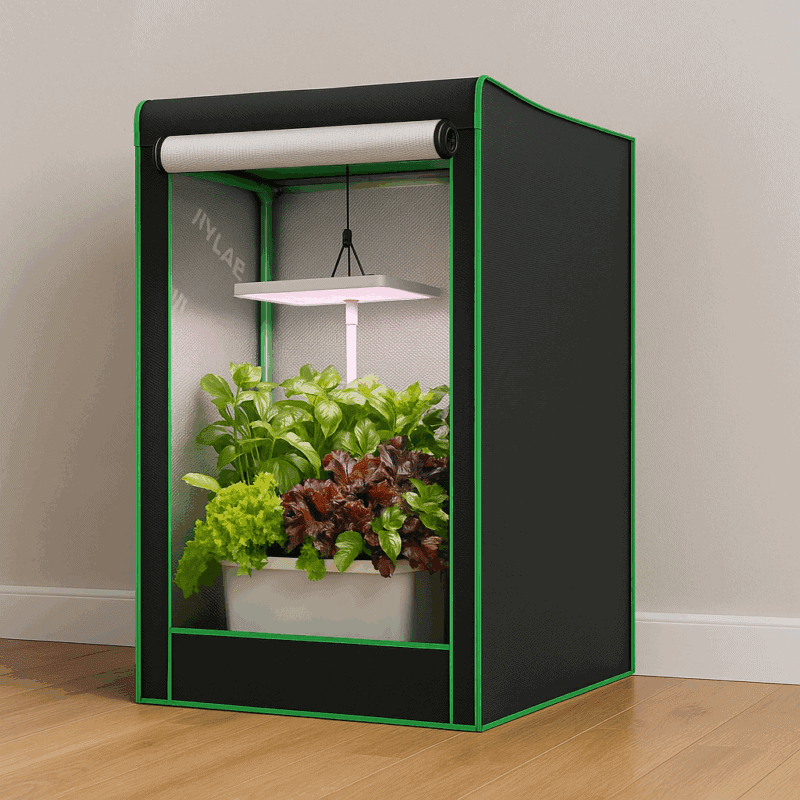 How to Set up Grow Lights Indoors in the UK